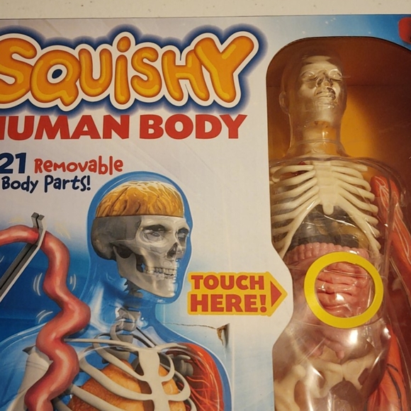 Smart Lab | Toys | 3 Squishy Human Body Educational Game | Poshmark